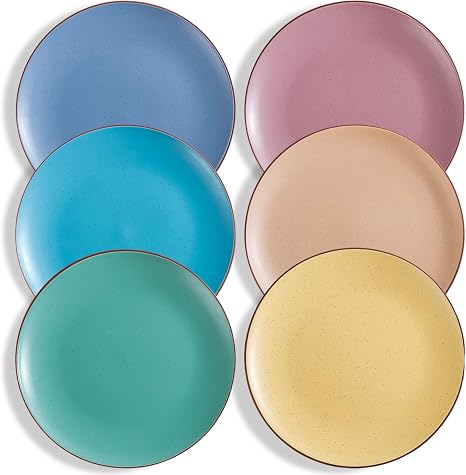 Amazon.com | Gooditour Ceramic Dinner Plates Set - 10.5 Inch Large ...