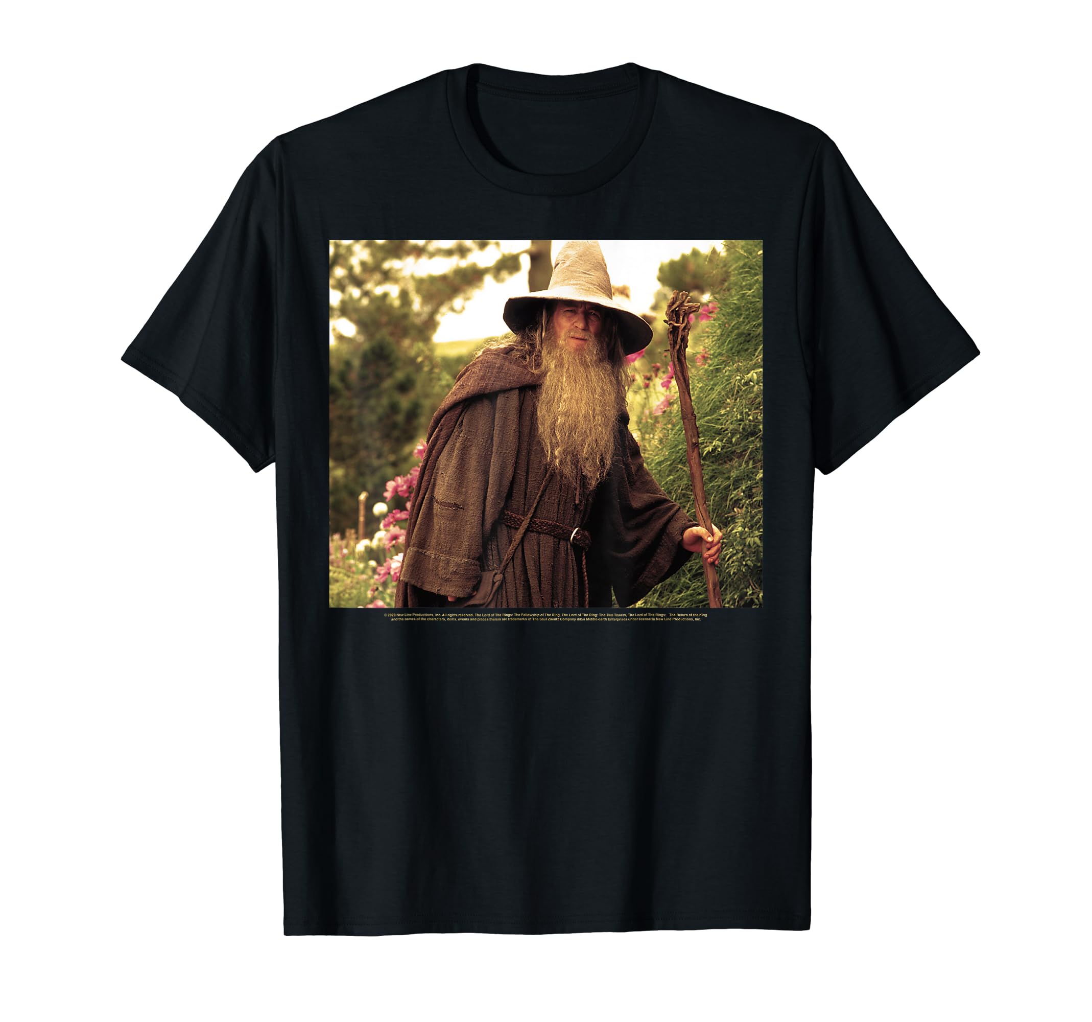 Amazon.com: The Lord Of The Rings Gandalf Traveling Portrait T-Shirt ...