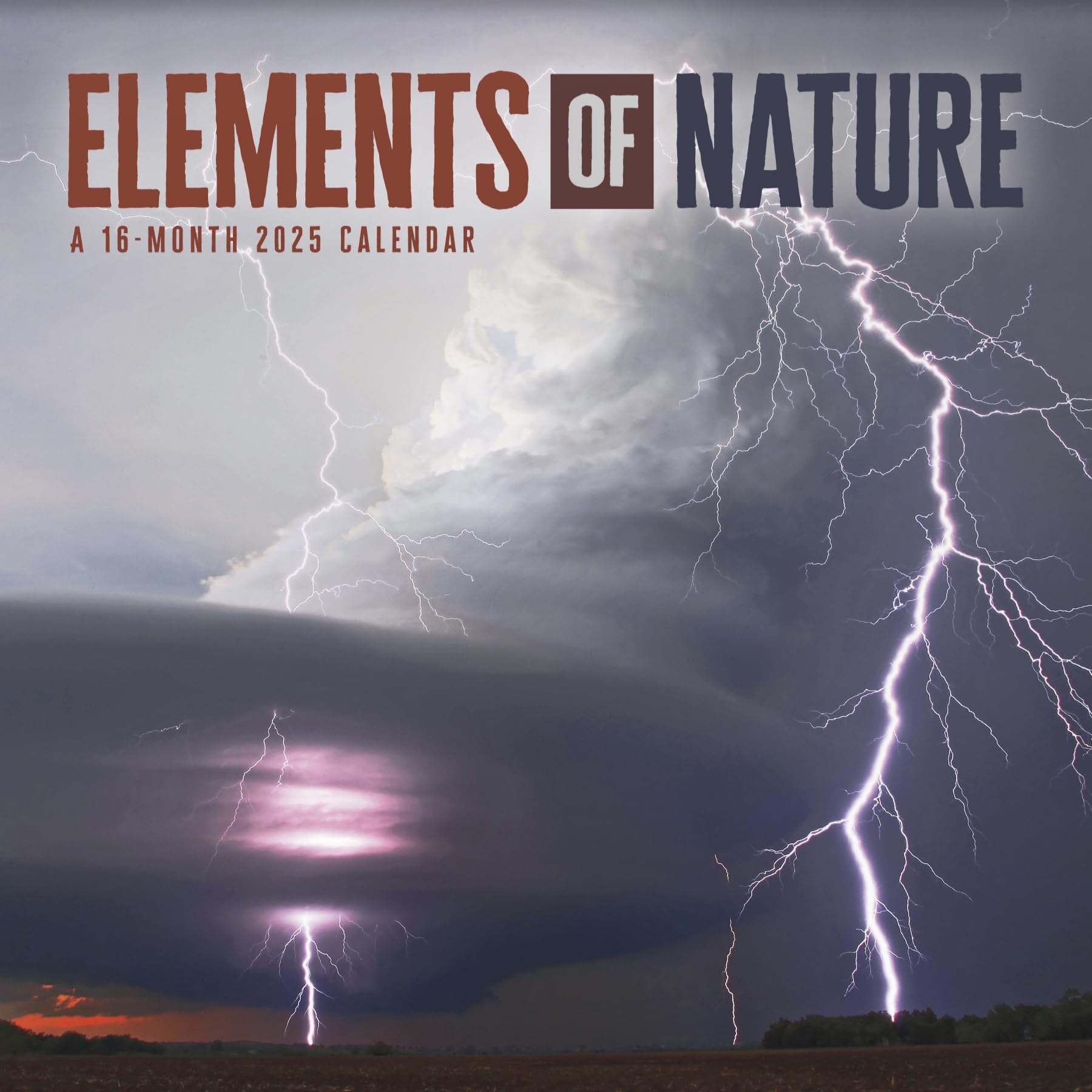 Buy 2025 Elements of Nature Wall Online at desertcartINDIA