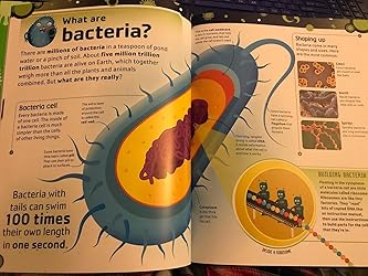 The Bacteria Book: The Big World of Really Tiny Microbes (The Science ...