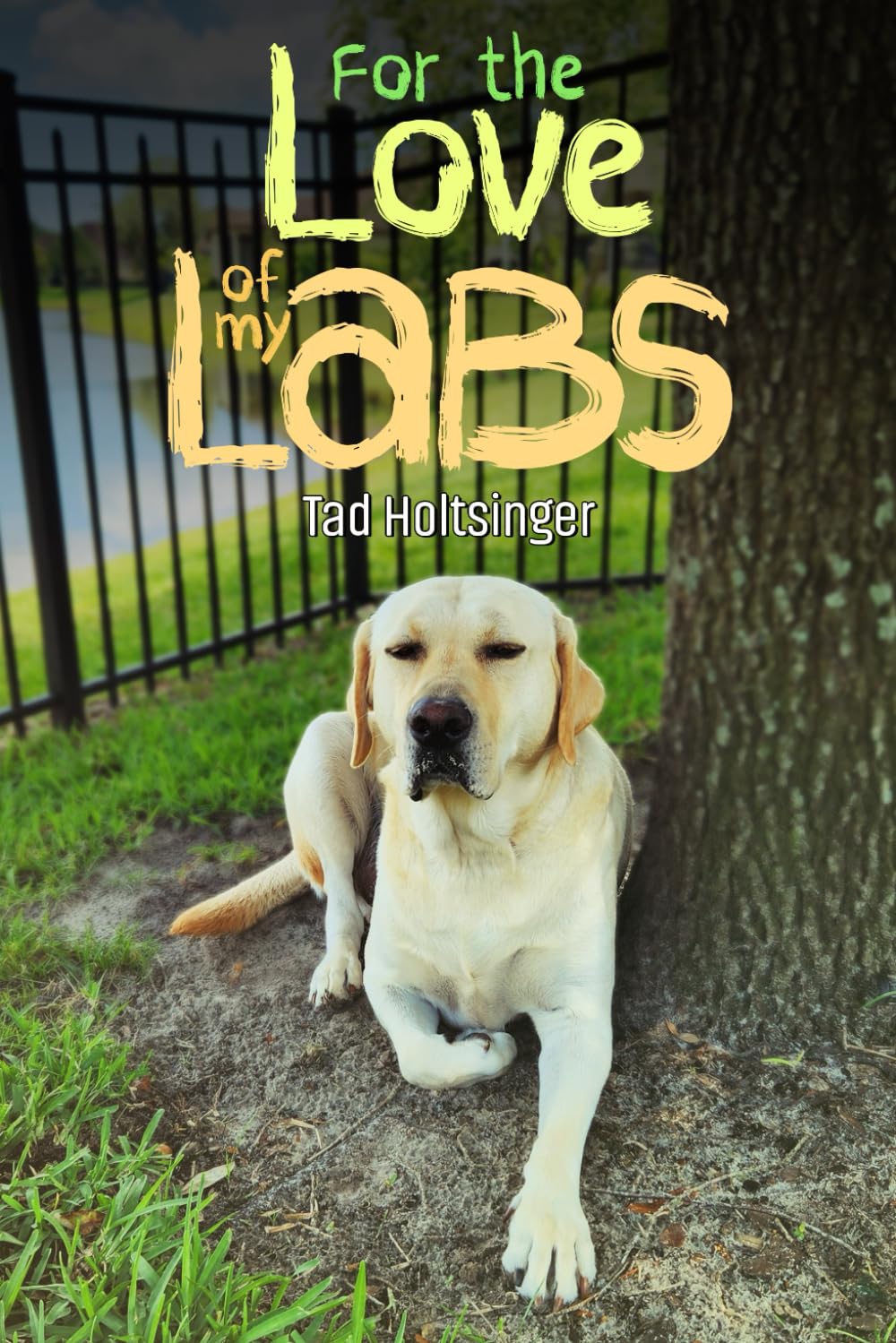 Amazon.com: For the Love of My Labs: 9798340252395: Holtsinger, Tad: Books
