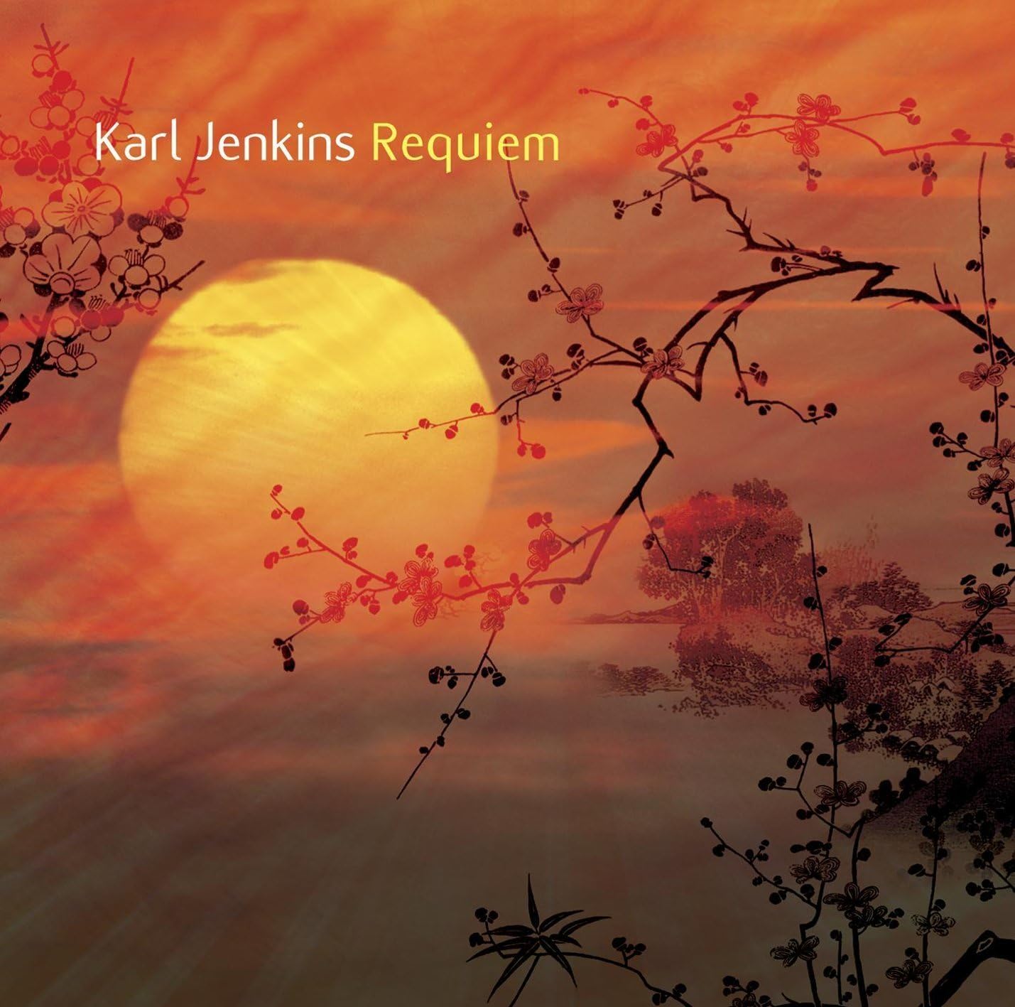 Karl Jenkins Requiem by Jenkins, Karl (2005) Audio CD by Karl Jenkins ...