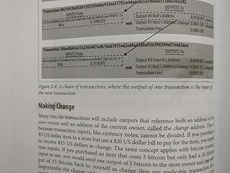 Buy Mastering Bitcoin: Programming the Open Blockchain, Second Edition ...