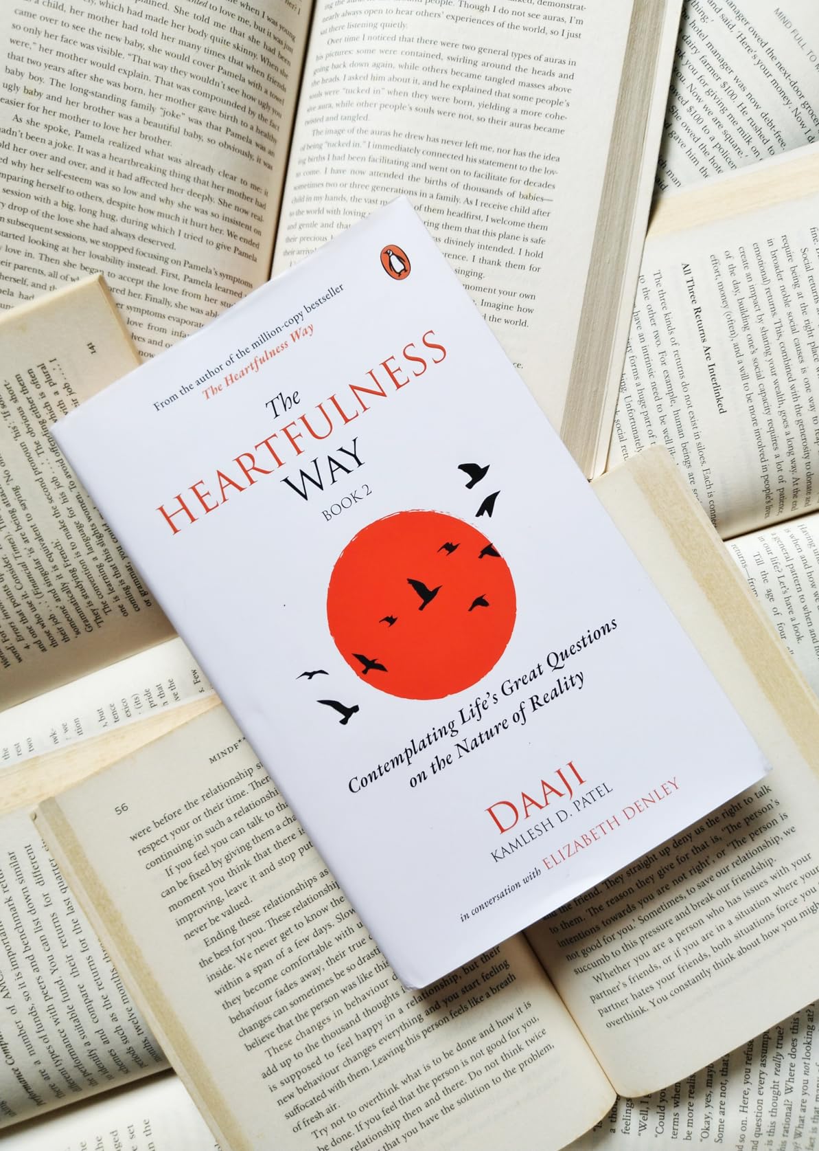 The Heartfulness Way, Vol 2: Contemplating Life's Great Questions on ...