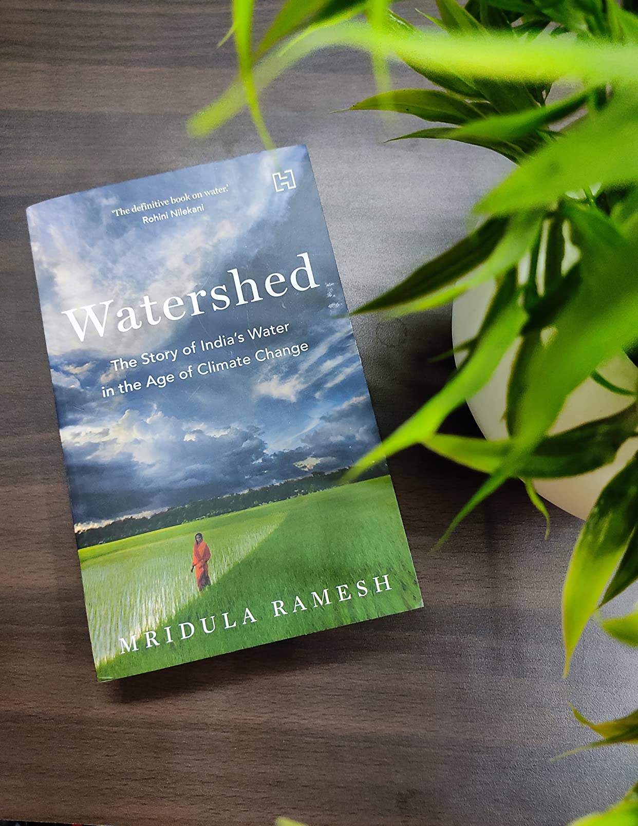 WATERSHED [Hardcover] Ramesh, Mridula : Ramesh, Mridula: Amazon.in: Books