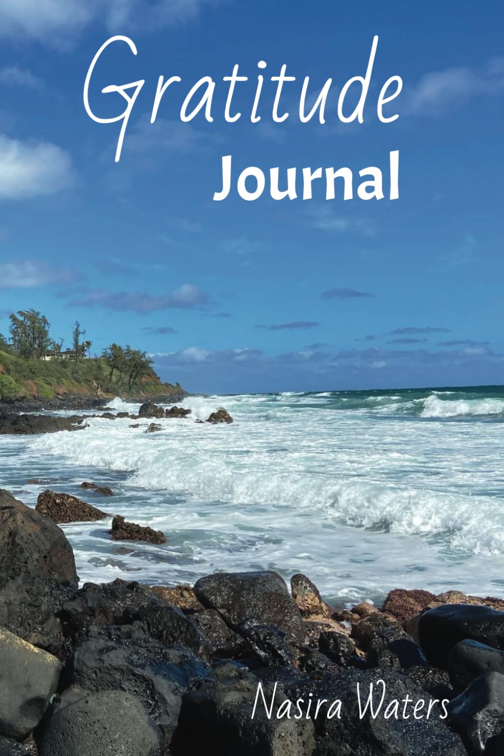 Gratitude Journal: Cultivate Mindfulness, Self-Awareness, Perception ...