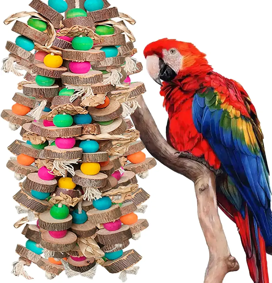 All About The Severe Macaw: Characteristics, Behavior, And Care | PetShun