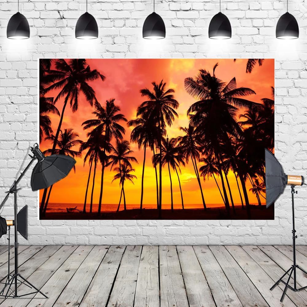 Amazon.com : Sunset Palm Tree Beach Backdrop Seaside Sunset Beach Photo ...