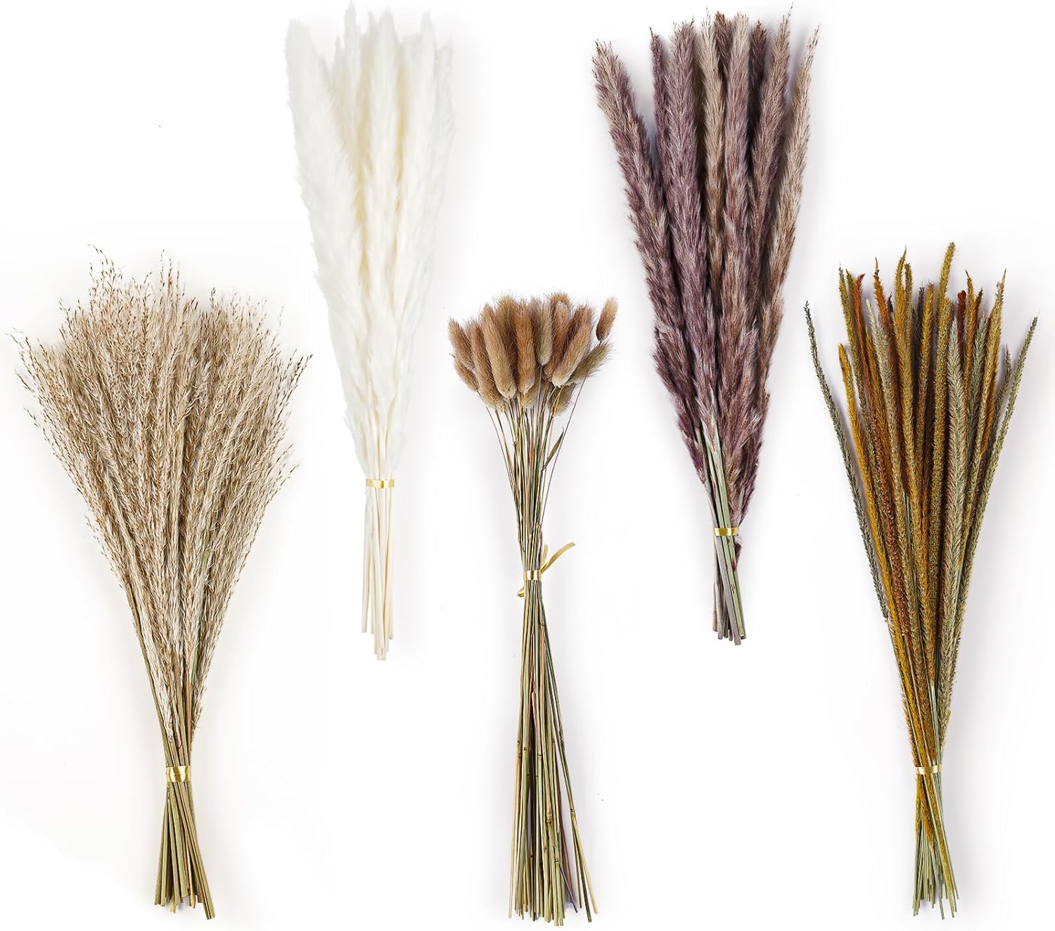 HOTUT Natural Dried Pampas Grass Bouquet, 130 Stems Assorted Dried ...