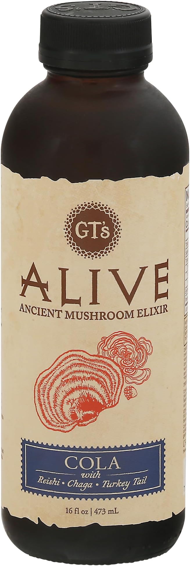 Amazon.com : GT's Living Foods ALIVE Cola Adaptogenic Tea, 16oz ...