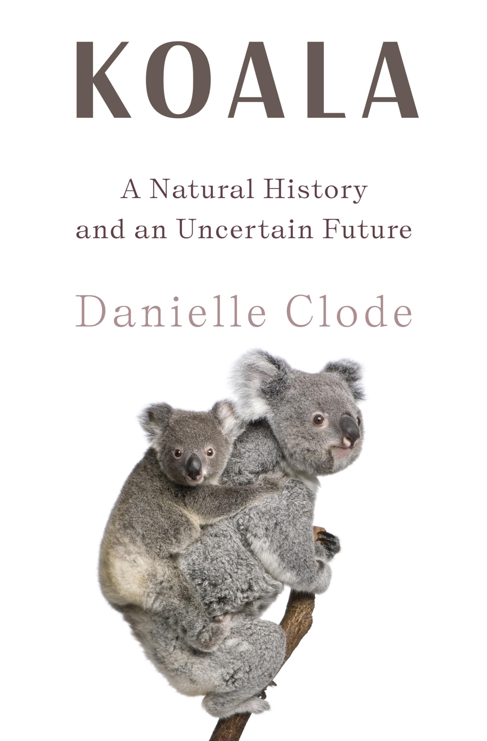 Koala: A Natural History and an Uncertain Future: Clode, Danielle ...