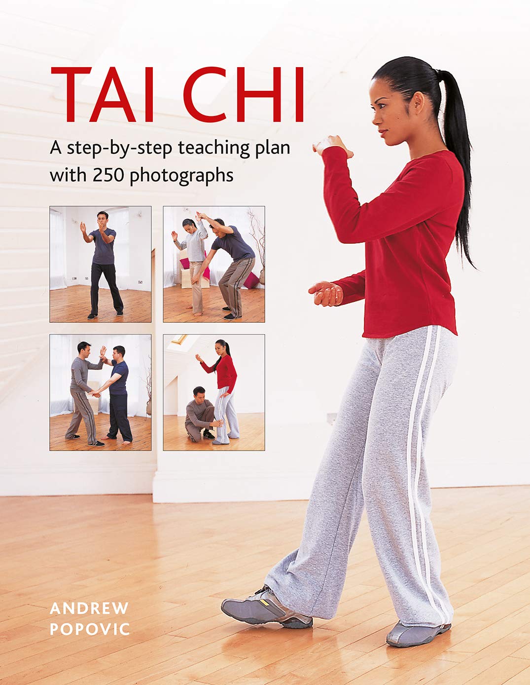 Tai Chi: A Step-by-step Teaching Plan with 250 Photographs: Popovic ...