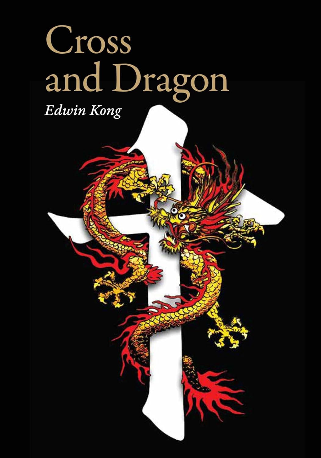 Amazon.com: Cross and Dragon – Matteo Ricci and China: A Screenplay by ...