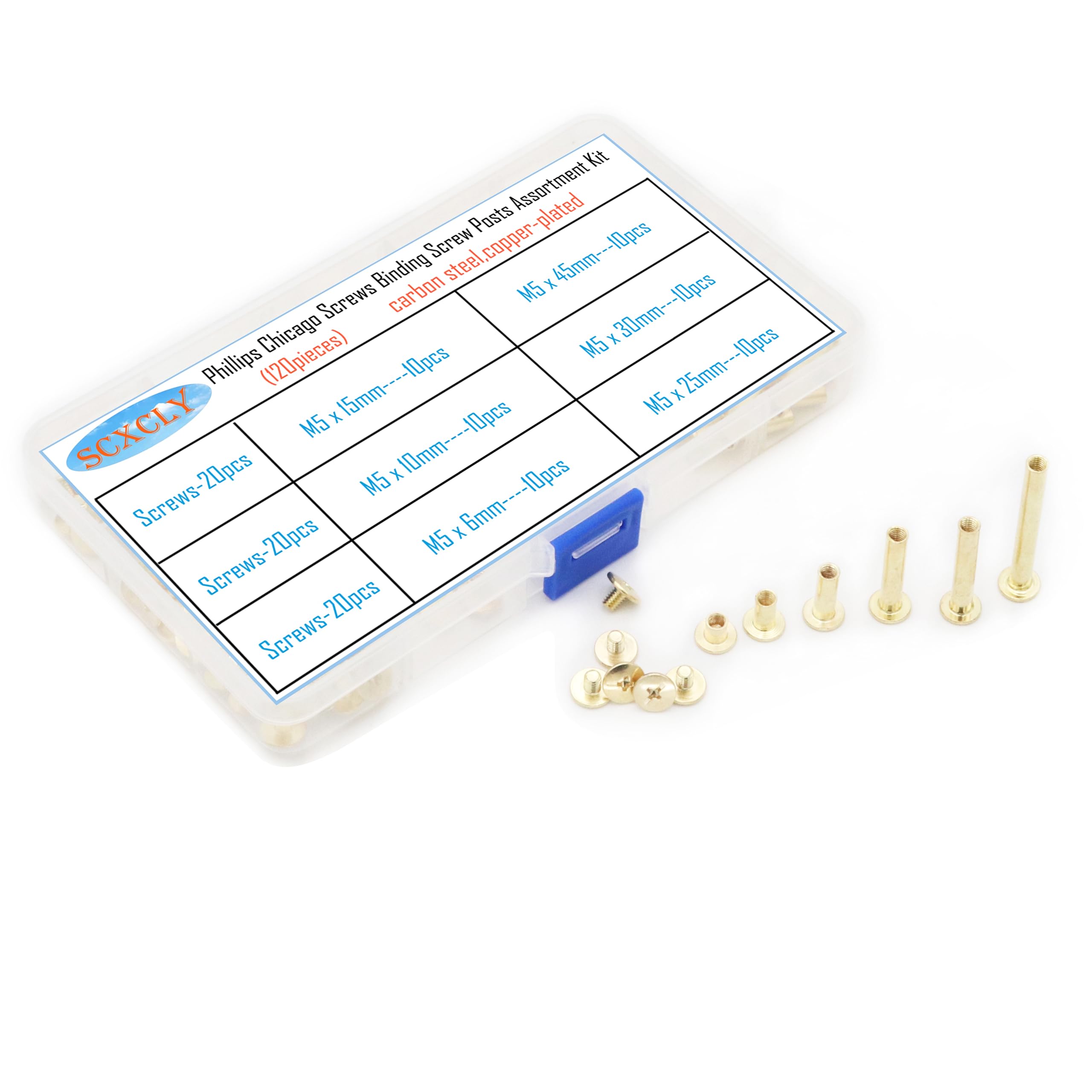 Amazon.com: SCXCLY 120pcs Chicago Screws Binding Screw Posts Assortment ...