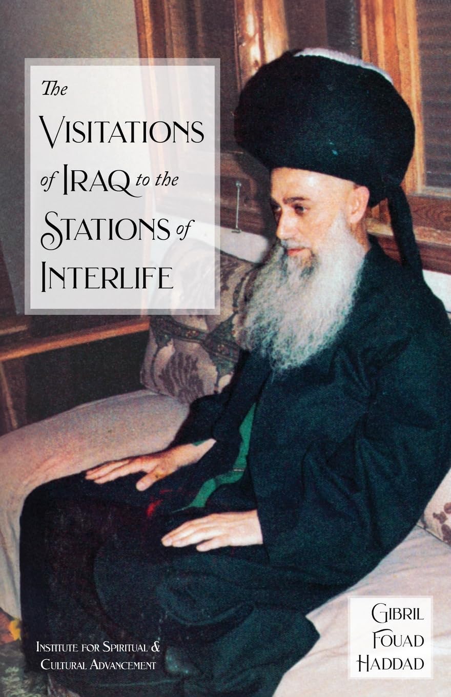 The Visitations of Iraq to the Stations of Interlife: Amazon.co.uk ...