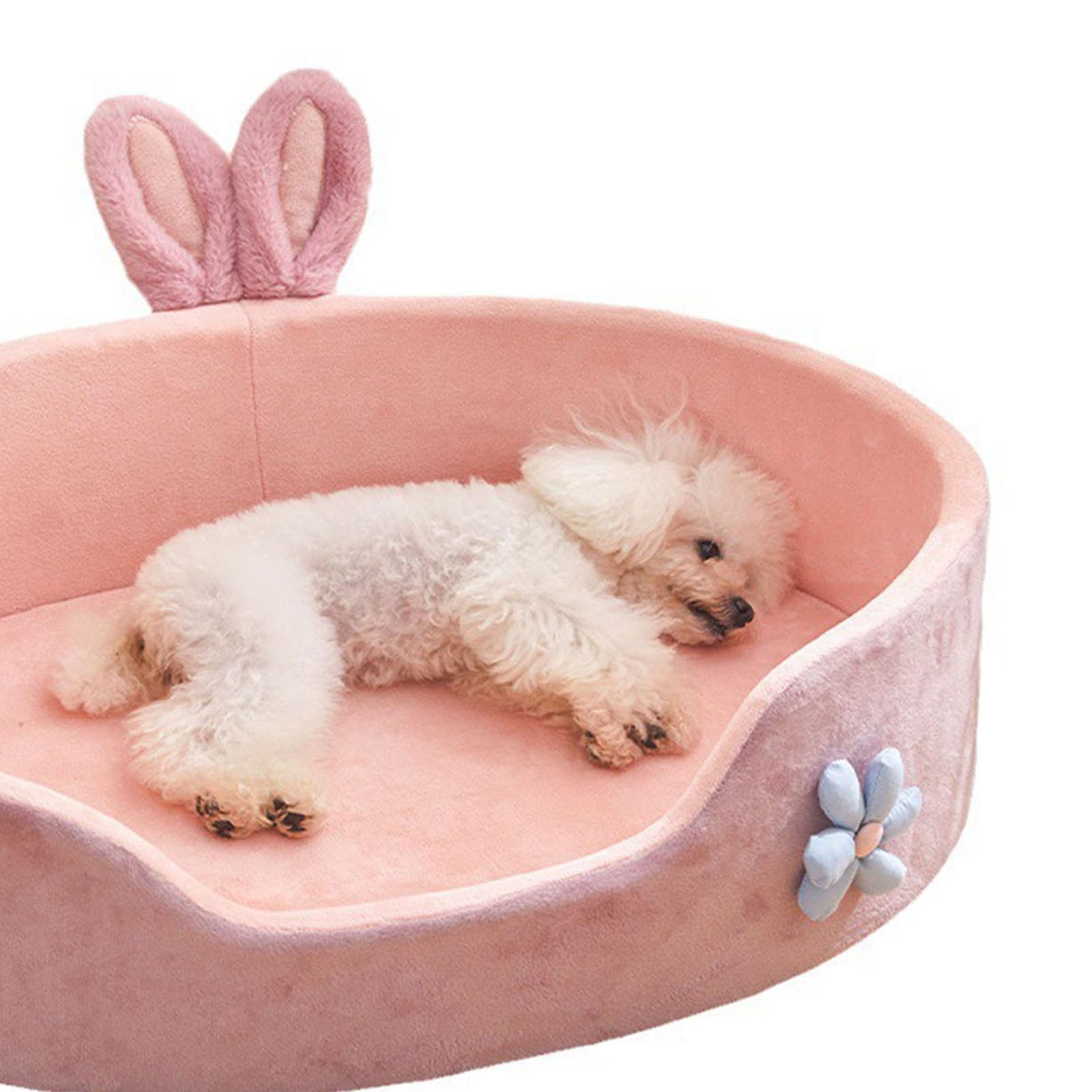 Cute Small Dog Beds Small Dog Bed In Emily Bond Wire Haired Dachshund