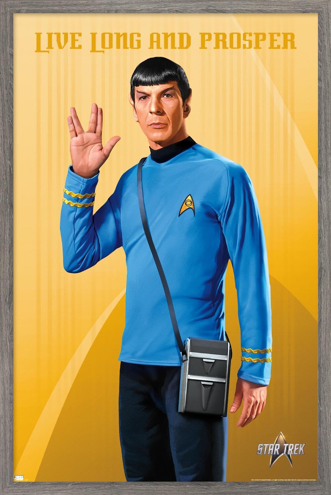 Amazon.com: Trends International Star Trek: Universe - Spock, Live Long ...