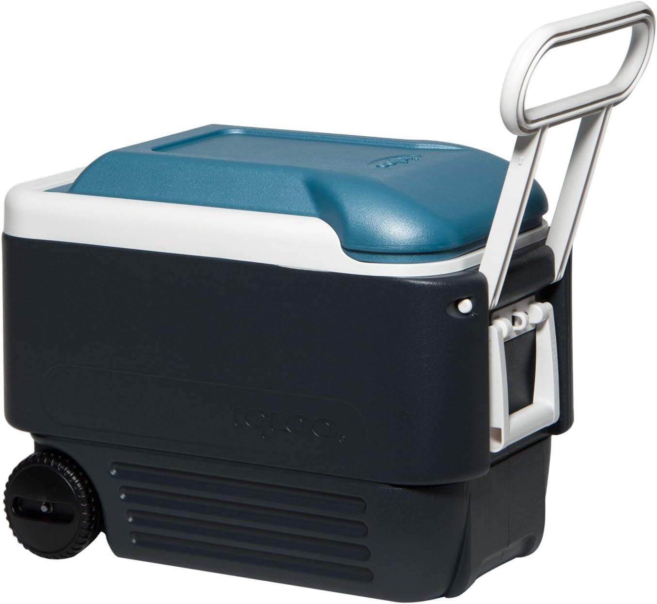 Amazon.com : Igloo Quart MaxCold Cooler, Blue/Navy, 40 Qt : Sports ...