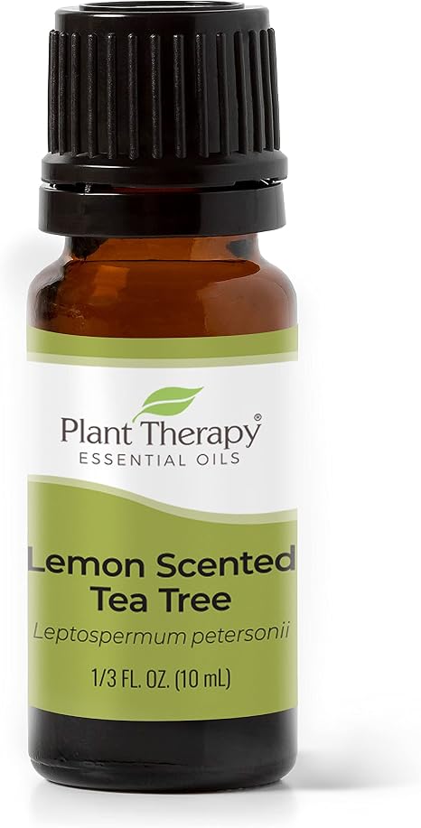 Amazon.com: Plant Therapy Lemon Scented Tea Tree Essential Oil 10 mL (1 ...