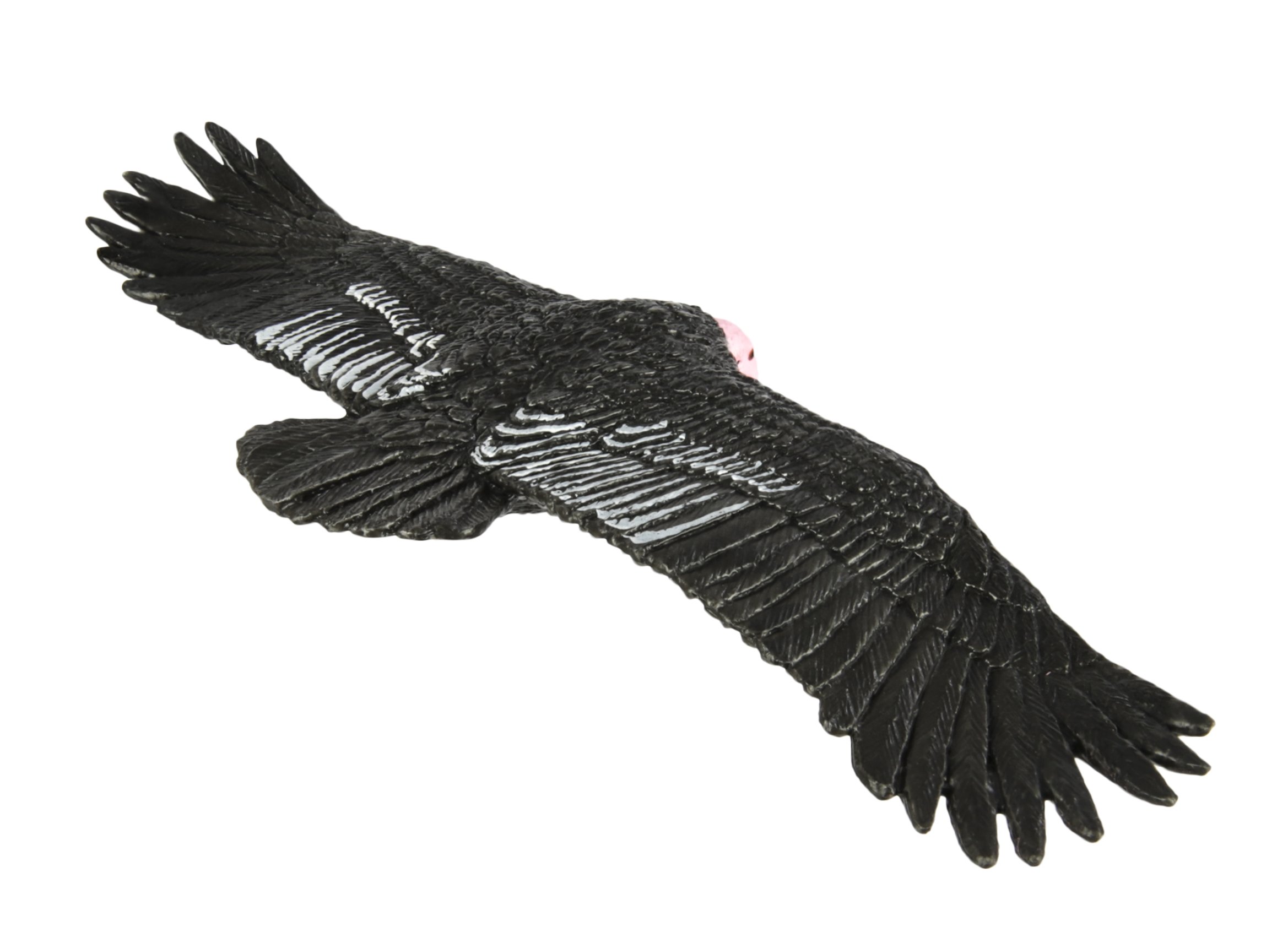 Buy Safari Ltd Wings of the World California Condor Realistic Hand ...