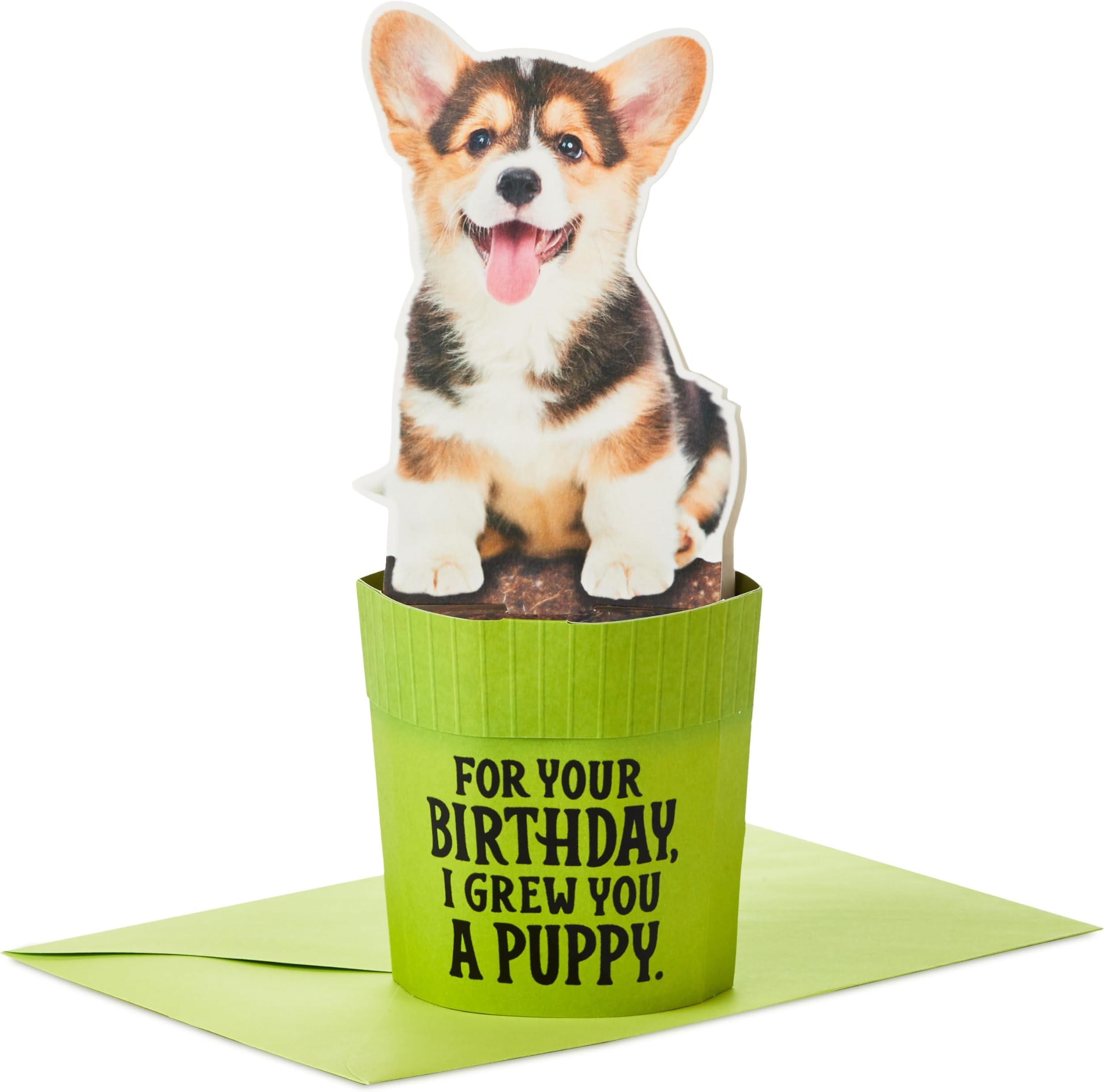 Amazon.com : Hallmark Paper Wonder Shoebox Funny Pop Up Birthday Card ...
