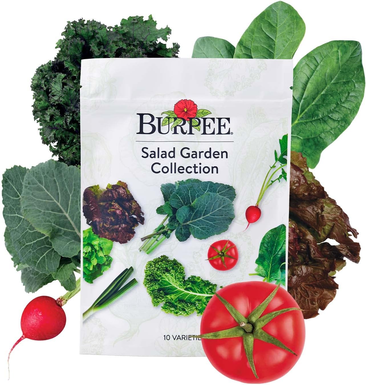 Amazon.com : Burpee di Ciccio Organic Broccoli Seeds 350 seeds : Patio ...