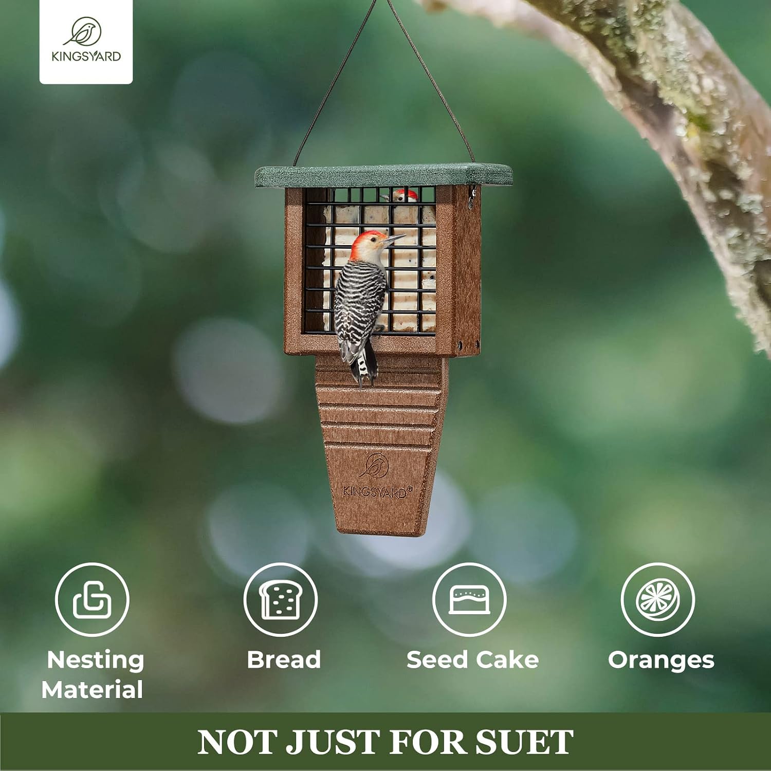 Amazon.com : Kingsyard Hummingbird Feeder for Outdoors Hanging ...
