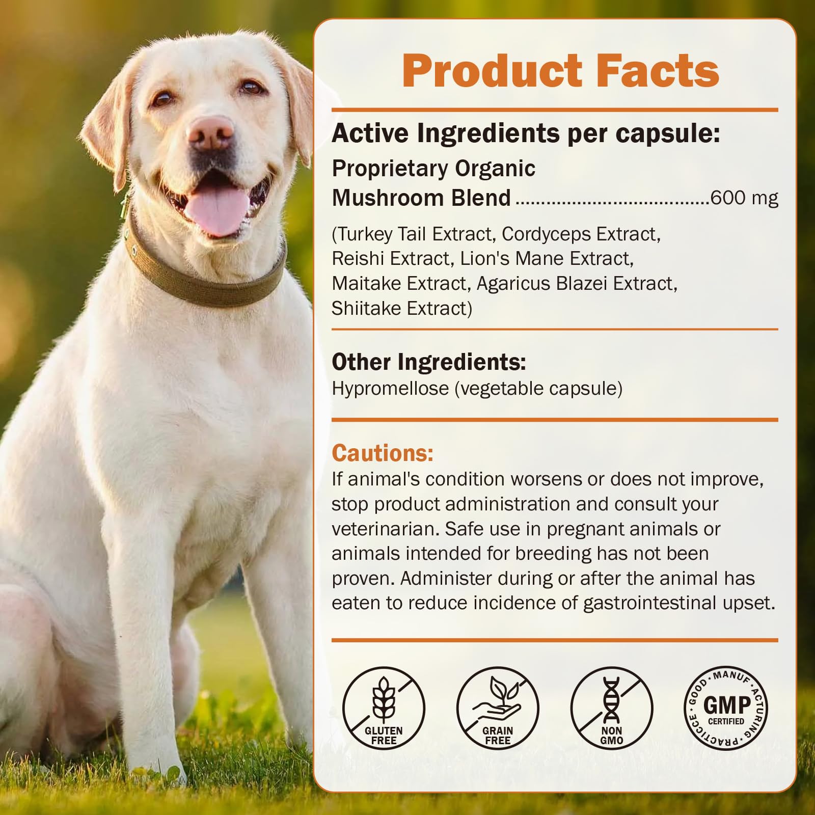 Snapklik.com : Dog Mushroom Supplement Guard For Lumps And Bumps ...