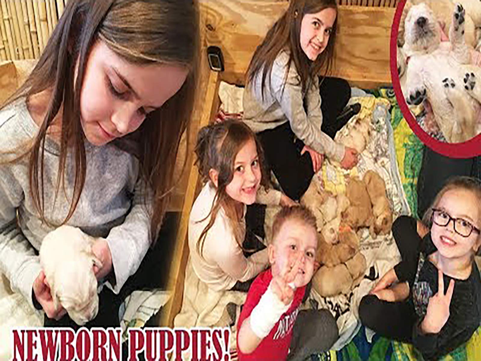 Watch Crazy8Family | Prime Video