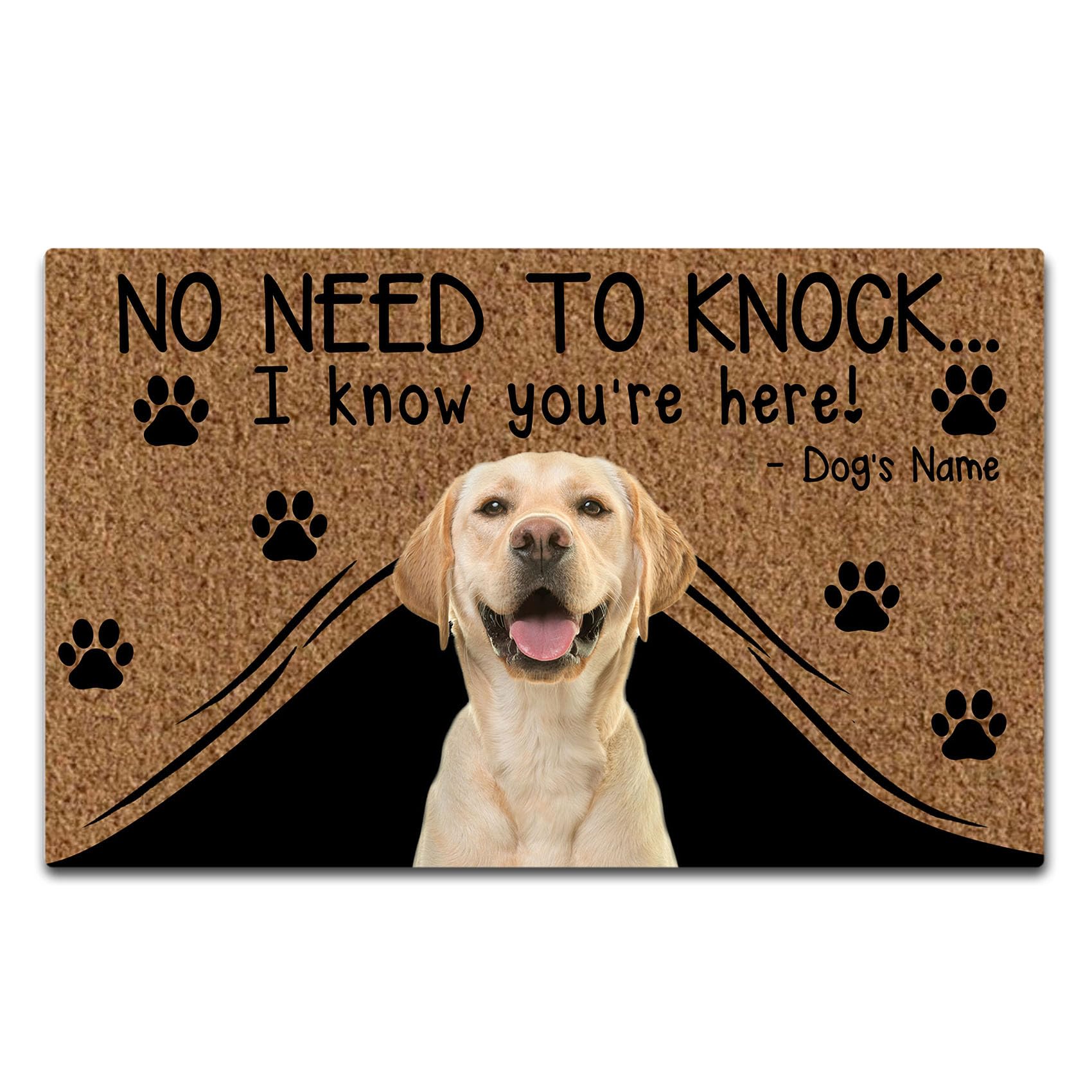 Amazon.com: FZYTMY Custom Funny Labrador Doormat Personalized No Need ...