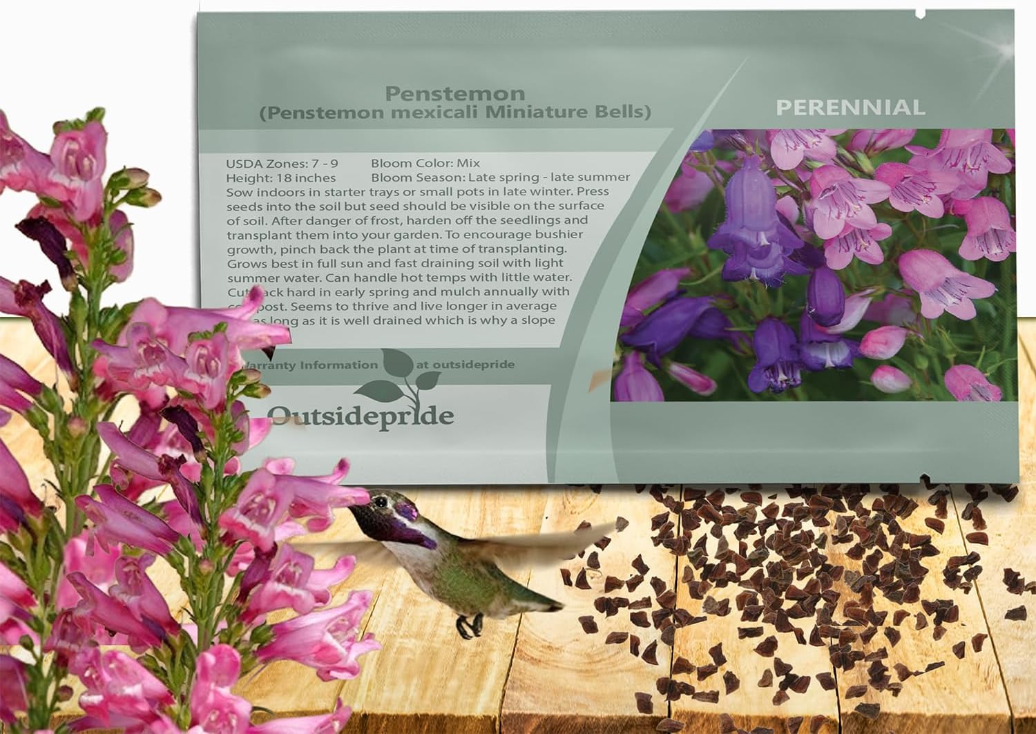Amazon.com : Outsidepride Miniature Bells Penstemon Seeds for Planting ...