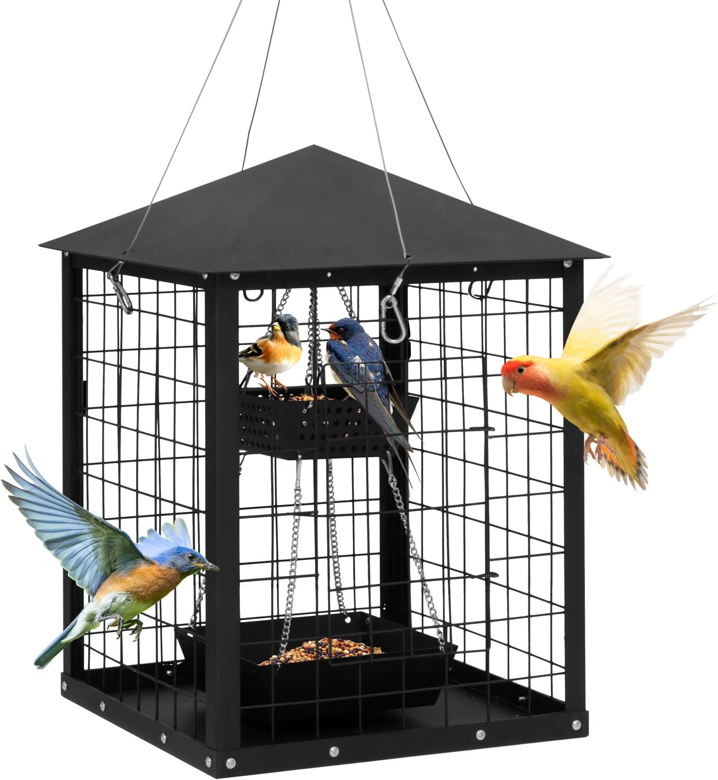Amazon.com : Premium Metal Mealworm Bird Feeders for Bluebirds ...