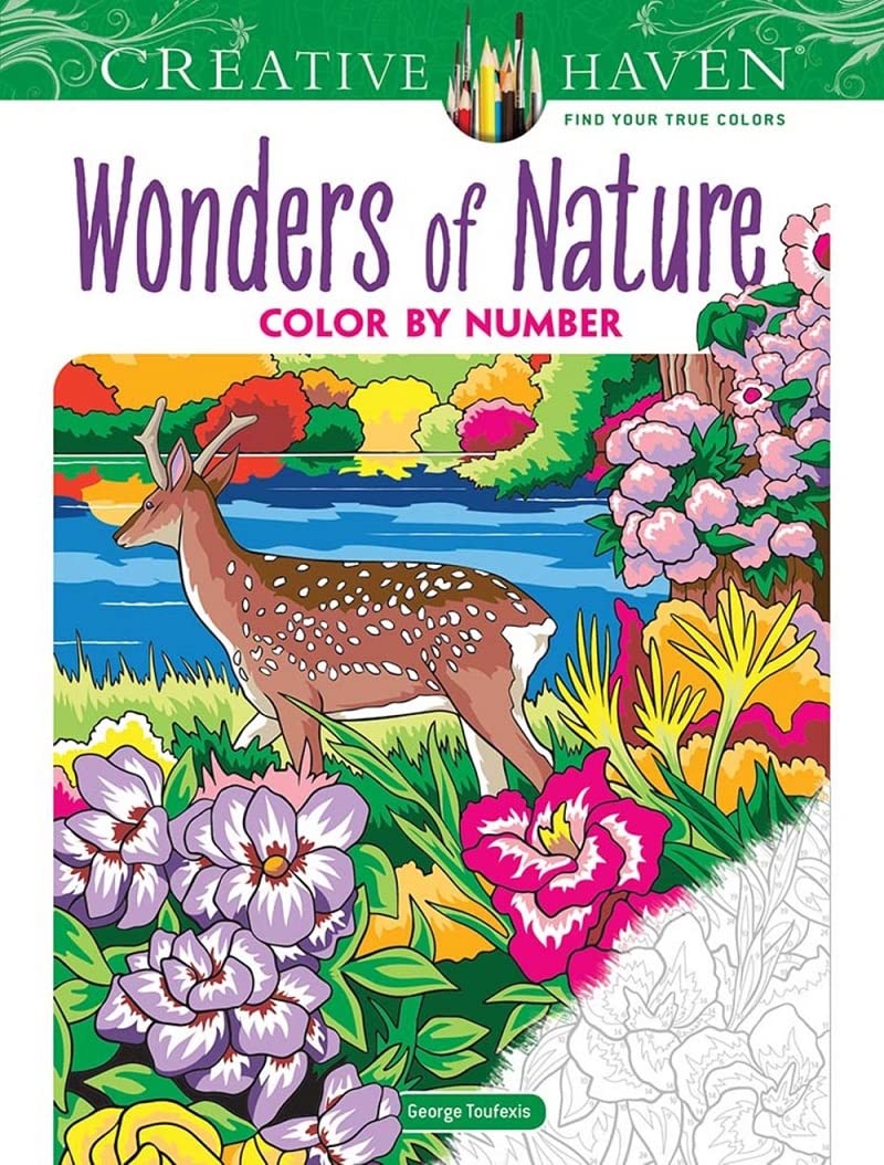 Amazon.com: Creative Haven Wonders of Nature Color by Number (Adult ...