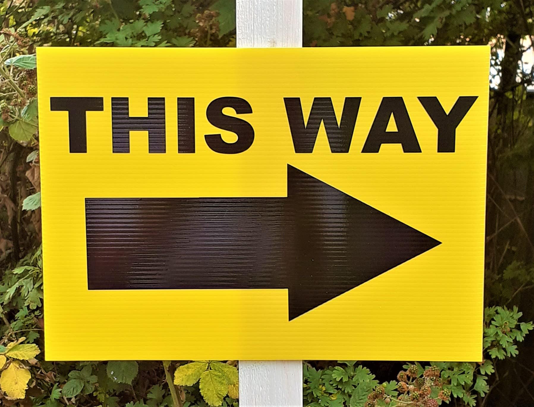 This Way and arrow right yellow Direction Signs 297 x 210mm exterior ...
