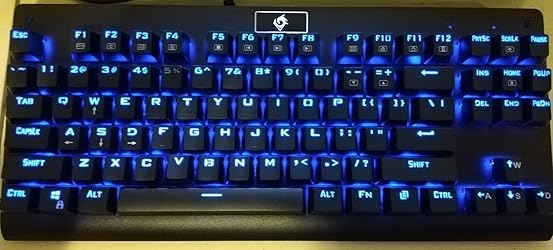 Amazon.com: EagleTec KG040 Mechanical Gaming Keyboard Blue LED RGB ...