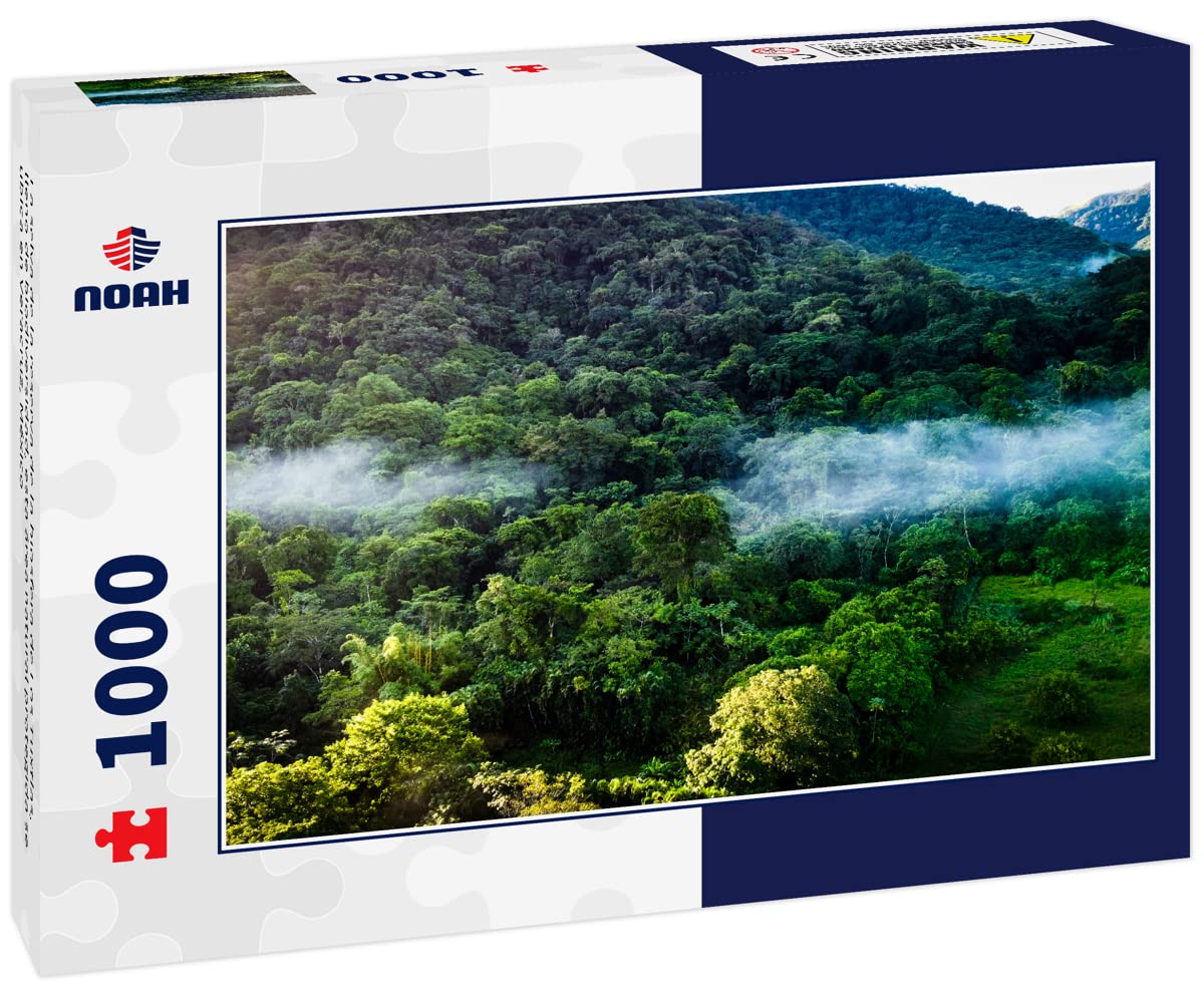Buy Noah Jigsaw Puzzle La Selva de la reserva de la biosfera de Los ...