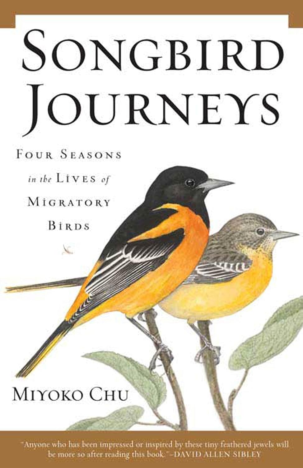 Songbird Journeys: Four Seasons In the Lives of Migratory Birds: Chu ...