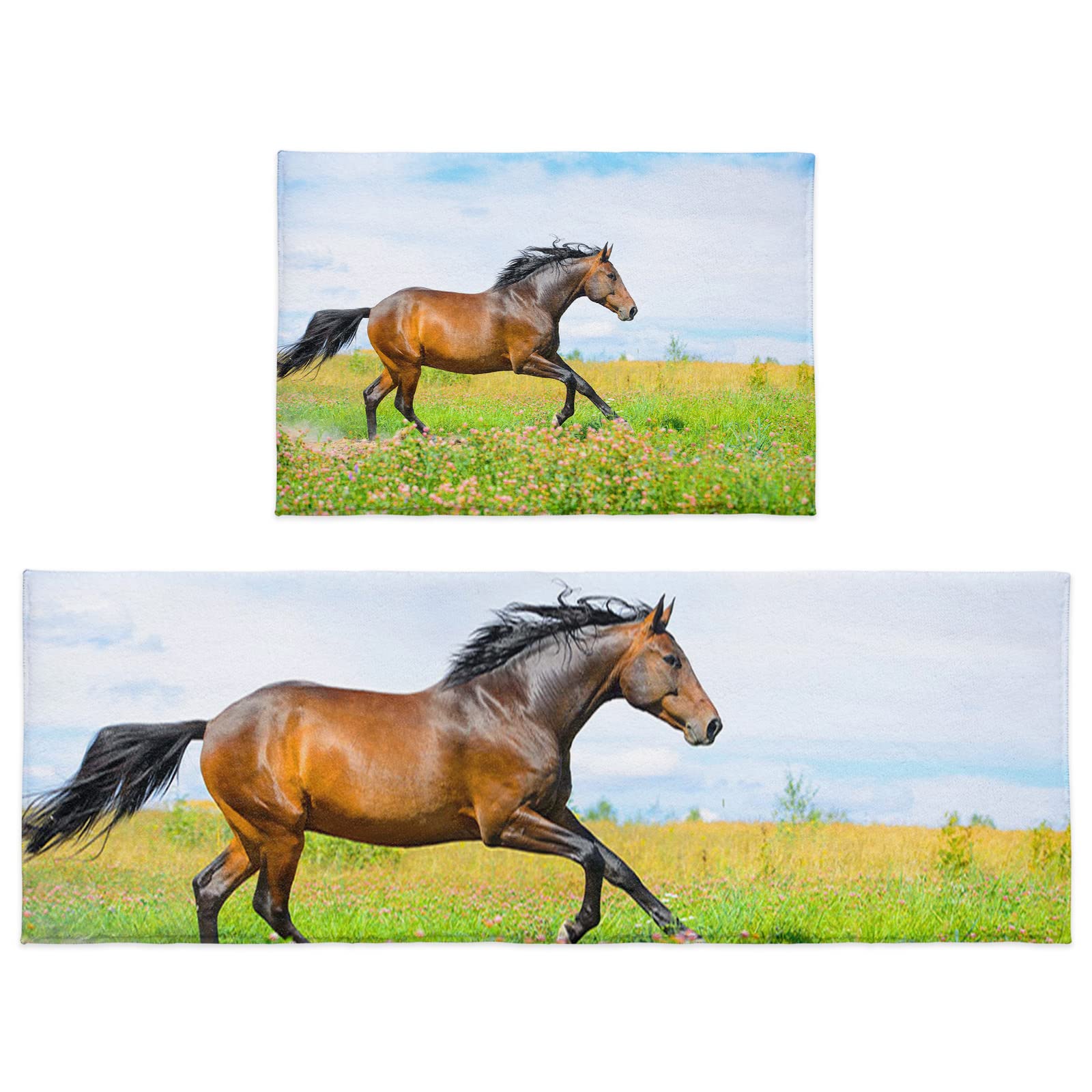 Galloped