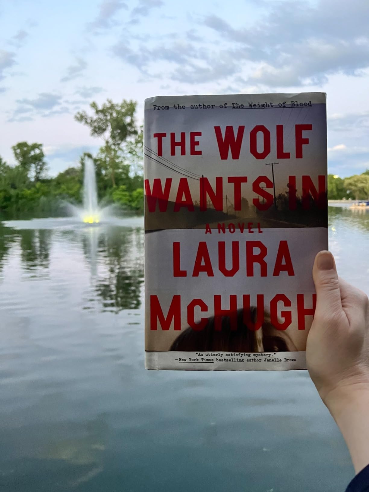 The Wolf Wants In: A Novel: McHugh, Laura: 9780399590290: Amazon.com: Books
