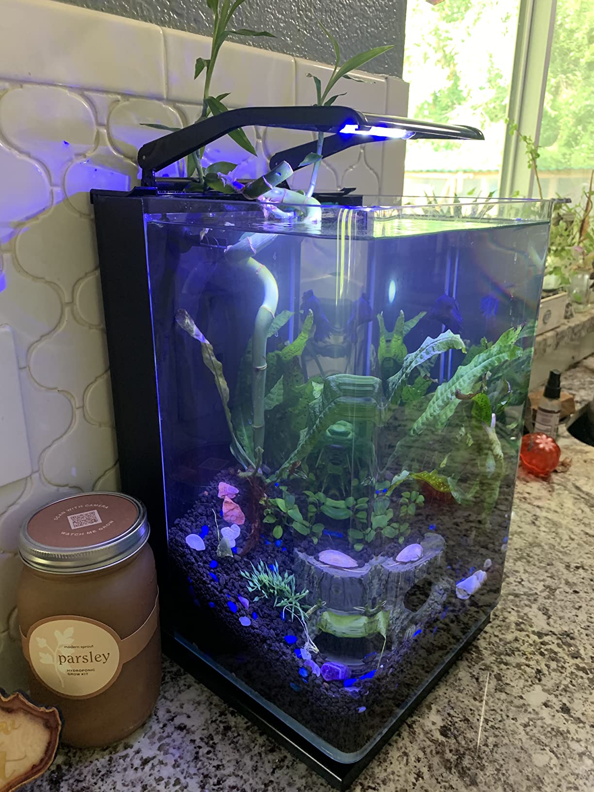 $13/mo - Finance GloFish Aquarium Kit Fish Tank with LED Lighting and ...