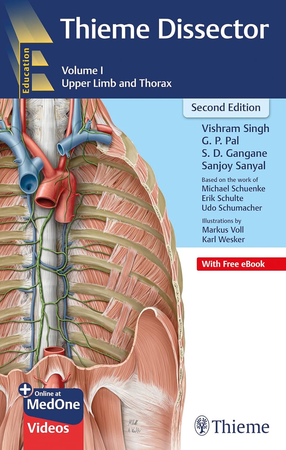 Thieme Dissector Anatomy Guide