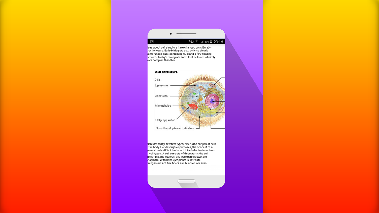 Human Anatomy - Free - App on Amazon Appstore