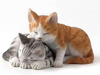 The Unique Tabby Cat Swirl Pattern: What's So Special? | PetShun