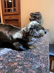 Amazon.com: Folkmanis River Otter Hand Puppet, Brown, 1 EA : Toys & Games