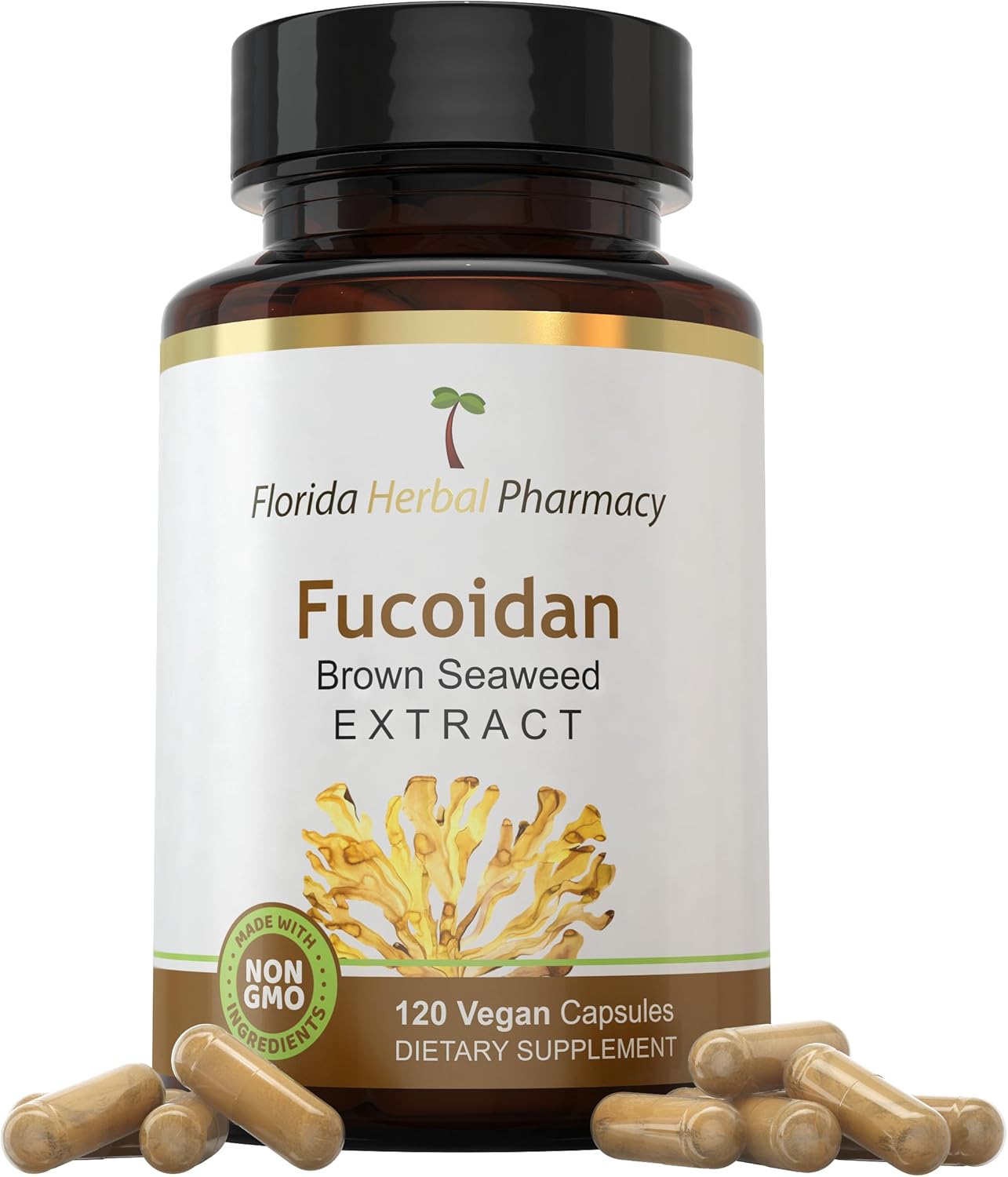Amazon.com: Florida Herbal Pharmacy, Fucoidan Extract Capsules 10:1 ...