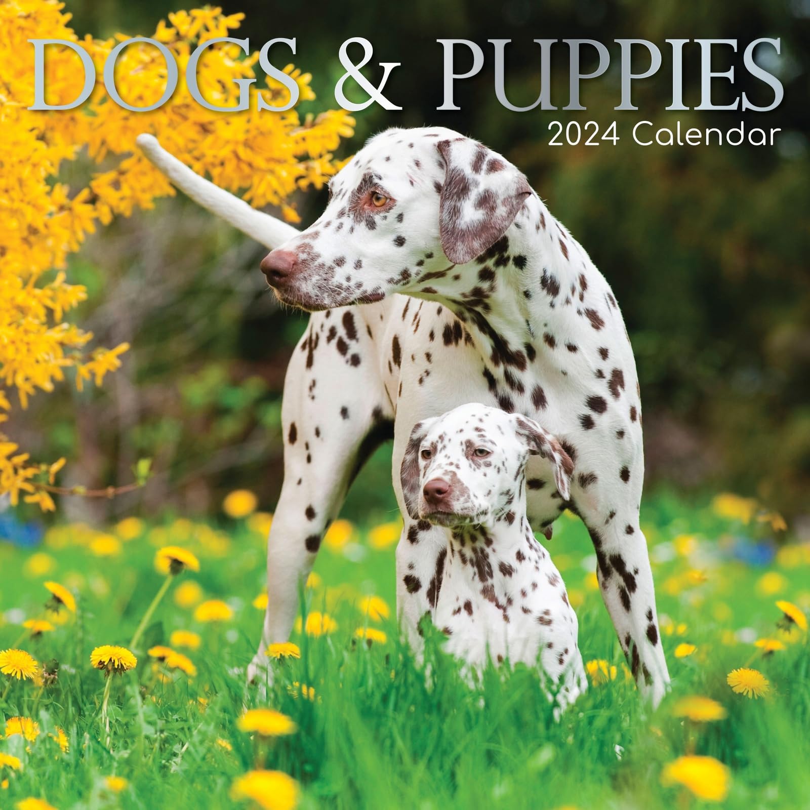 Dog Calendar Stickers Reminder