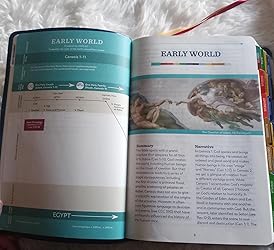 The Great Adventure Catholic Bible: Cavins, Jeff: 9781945179419: Amazon.com: Books