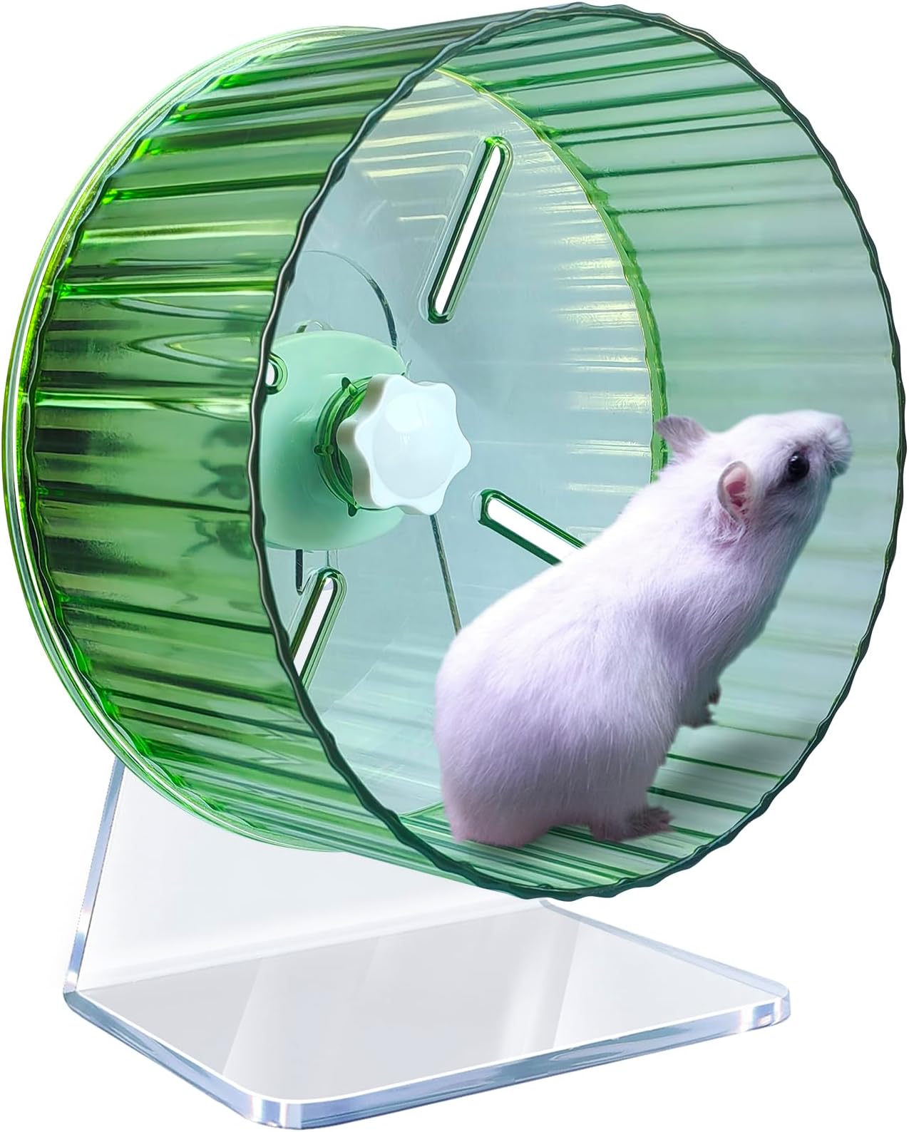 Hamster Wheel,Quiet Exercise Wheel,Adjustable Stand Silent Hamster ...