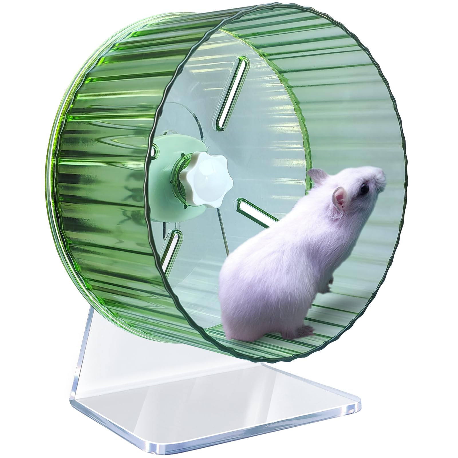 Hamster Wheel Why Hamsters Love Running On The Wheel? Choose The