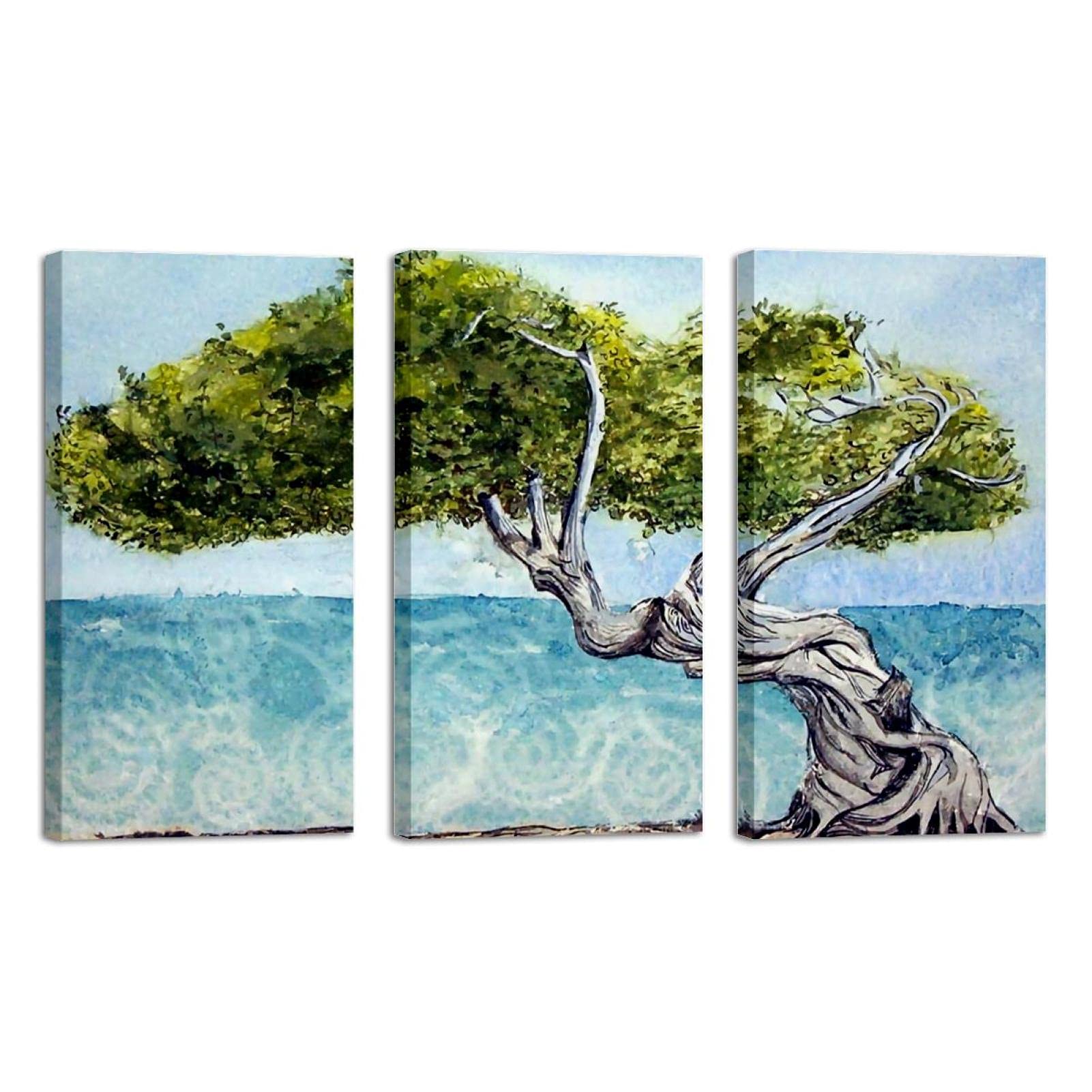 Divi Divi Tree Paintings